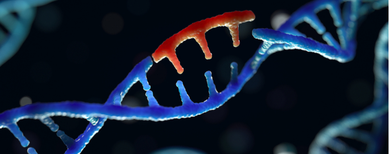 Editing genetico per curare la sindrome da Iper IgM